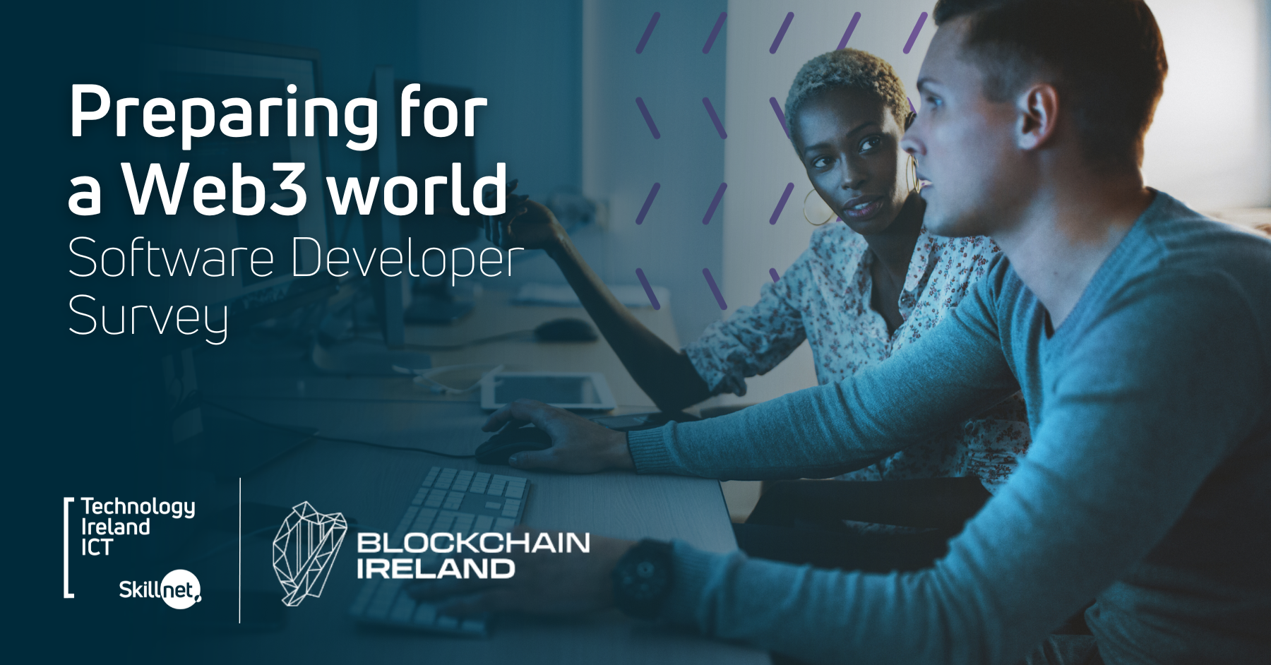 Survey: Preparing for a Web3 world - Software Developers